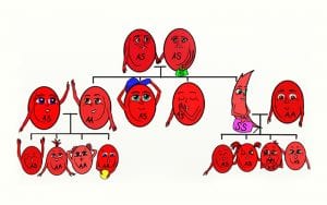 What is SCD? - Sick Cells